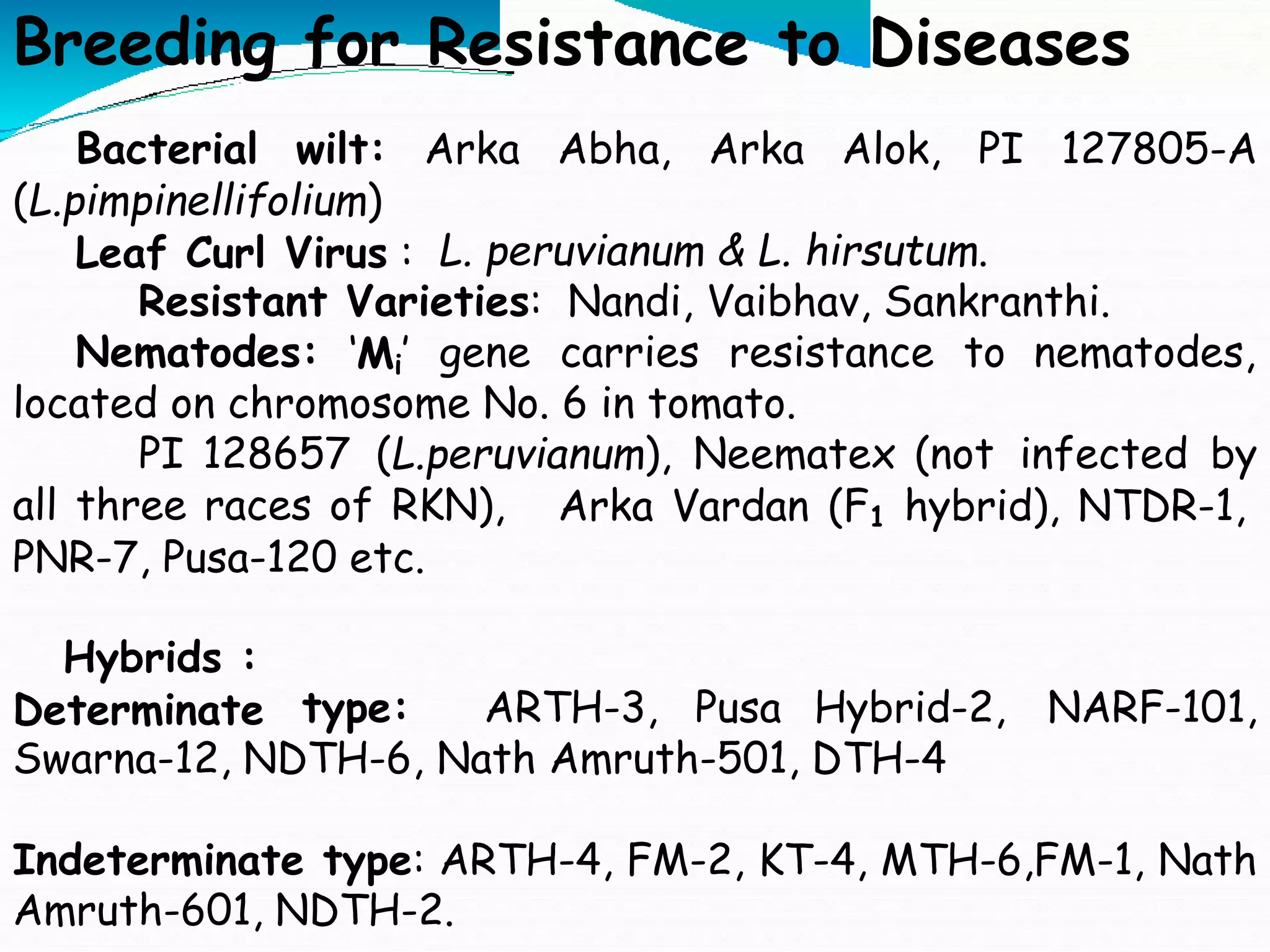 1. breeding of tomato | PPTX