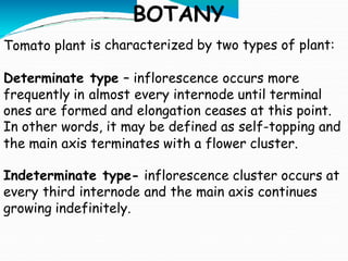 1. breeding of tomato | PPTX
