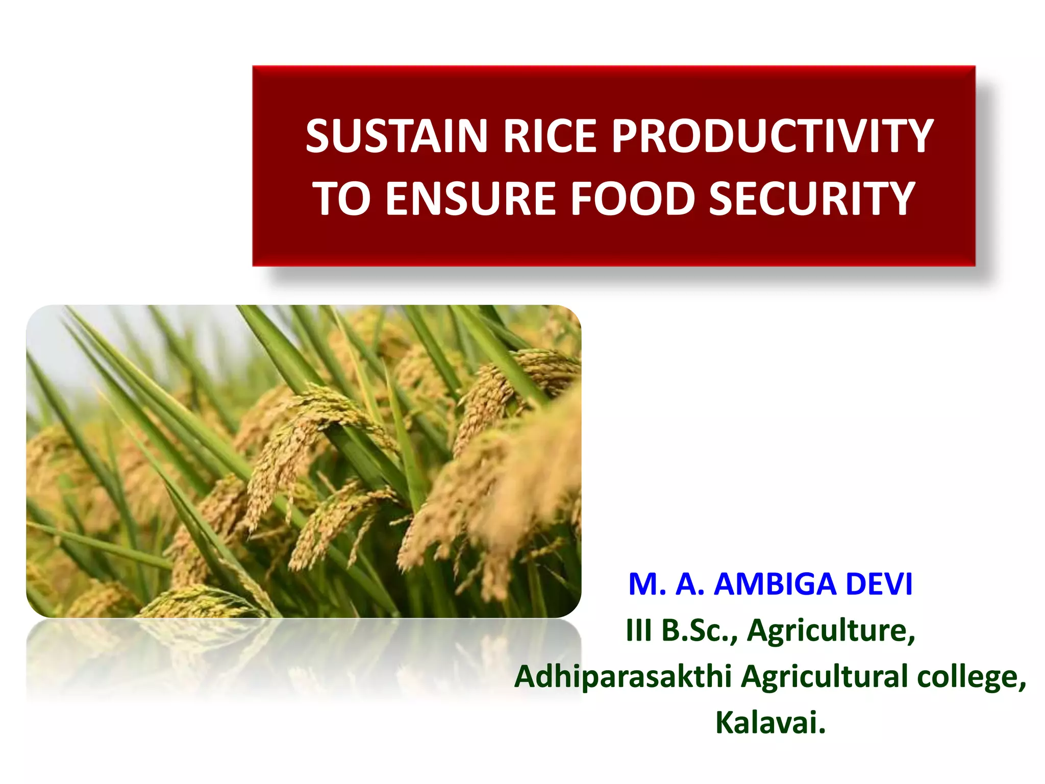 SUSTAIN RICE PRODUCTIVITY TO ENSURE FOOD SECURITY | PPTX