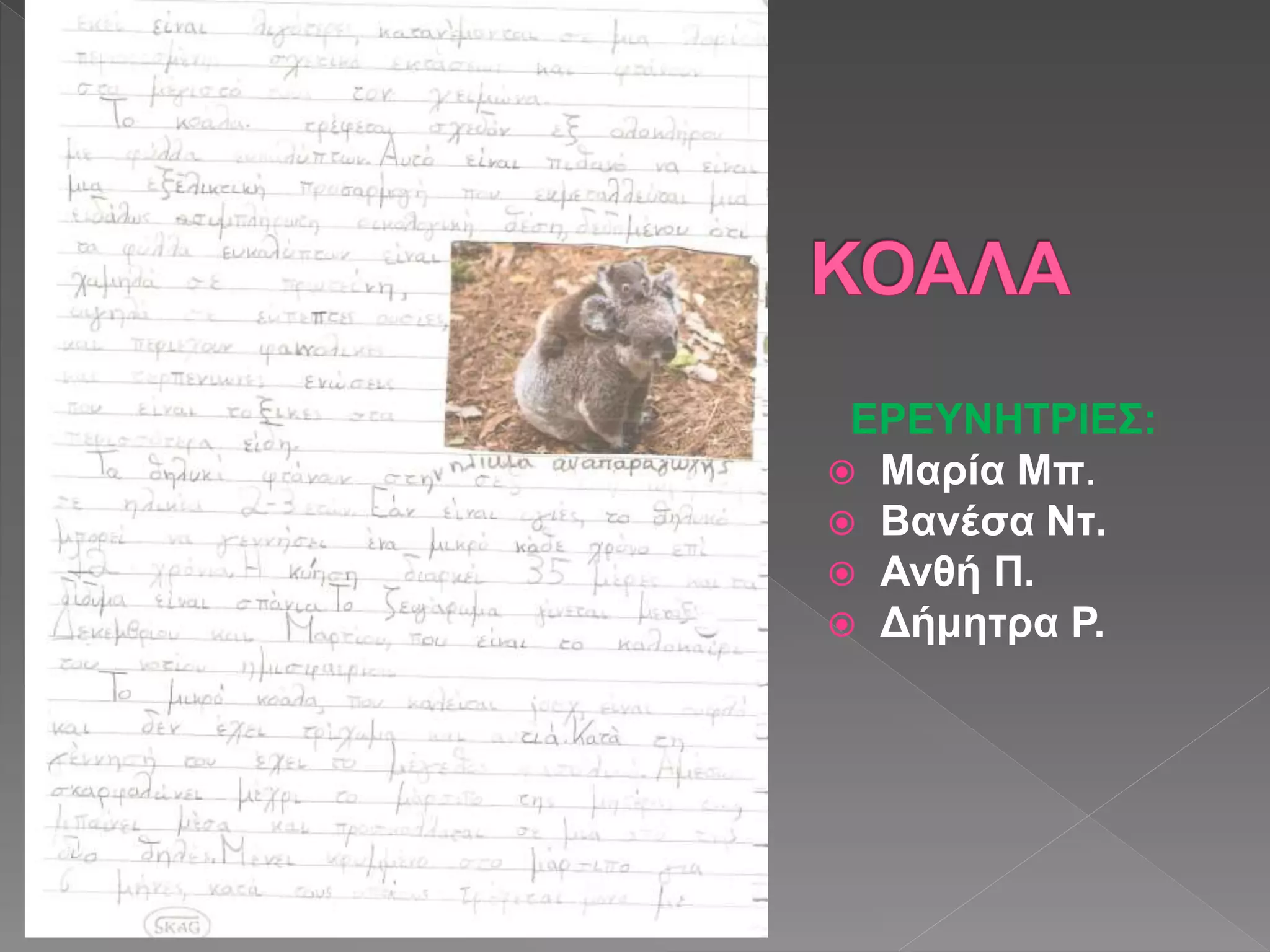 κοαλα εργασια 1-Χρύσα Κοκορίκου | PPT