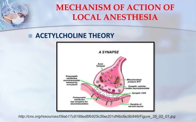Local Anesthesia in Oral and Maxillofacial Surgery