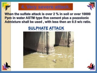 1.sulphate attack on concrete | PPTX