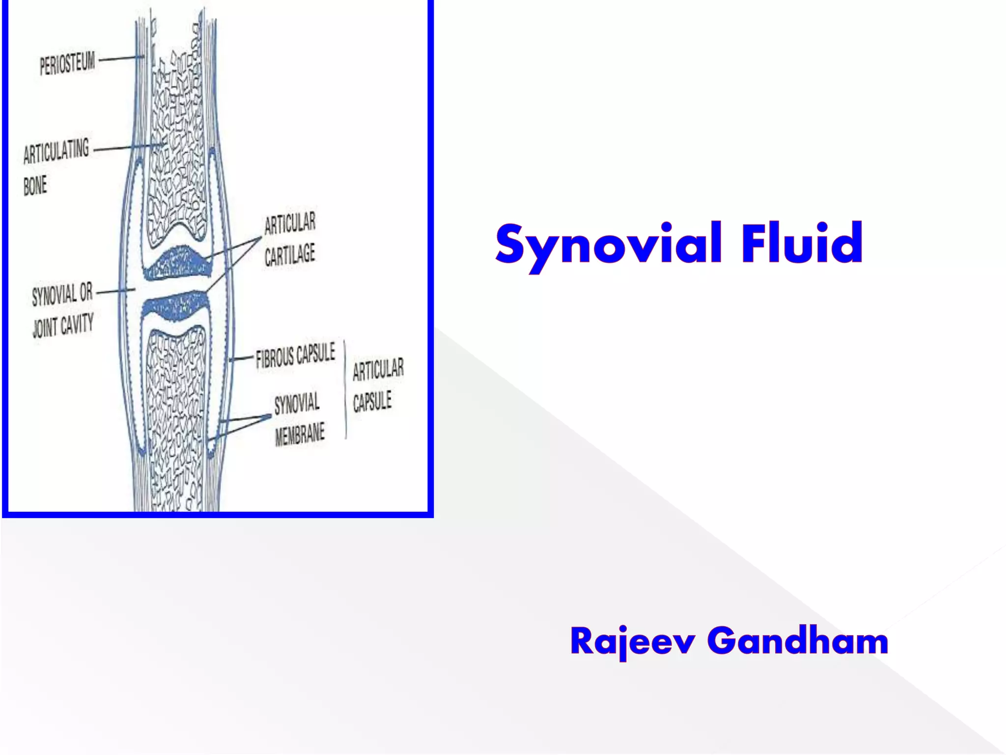 SYNOVIAL FLUID | PPTX