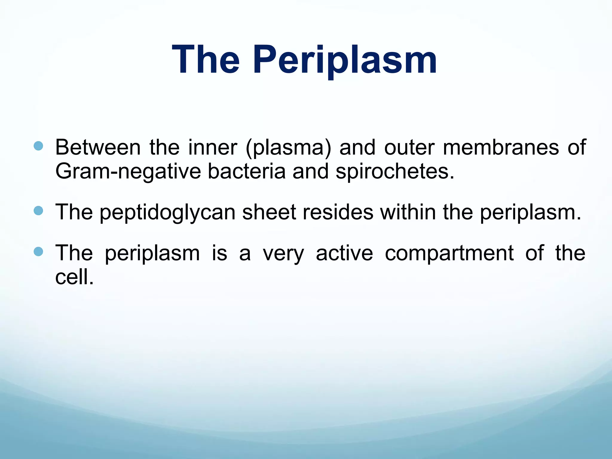 1.introduction to bacterial cell | PDF