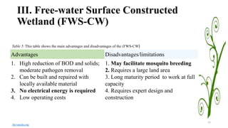 Water Bioremediation through Constructed Wetlands | PPTX