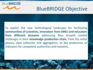 BlueBRIDGE: Major Achievements & future vision | PPTX