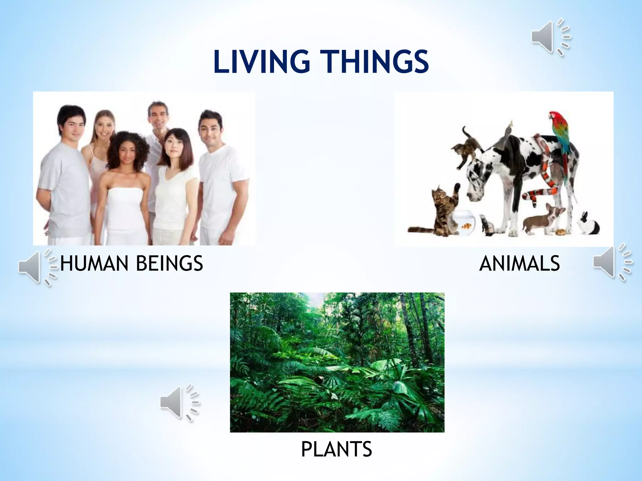 Living &non living things | PPTX | Biological Sciences | Science