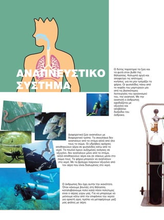 Φυσική ΣΤ΄ 7. 1. ΄΄ Η Αναπνοή΄΄ | PDF