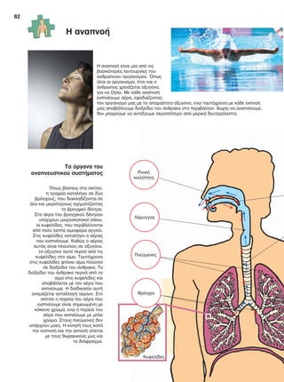 Φυσική ΣΤ΄ 7. 1. ΄΄ Η Αναπνοή΄΄ | PDF