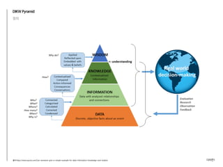 0313 DIKW Pyramid | PDF