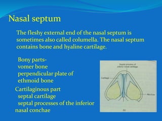 1.osteology of zmc and nose | PPTX