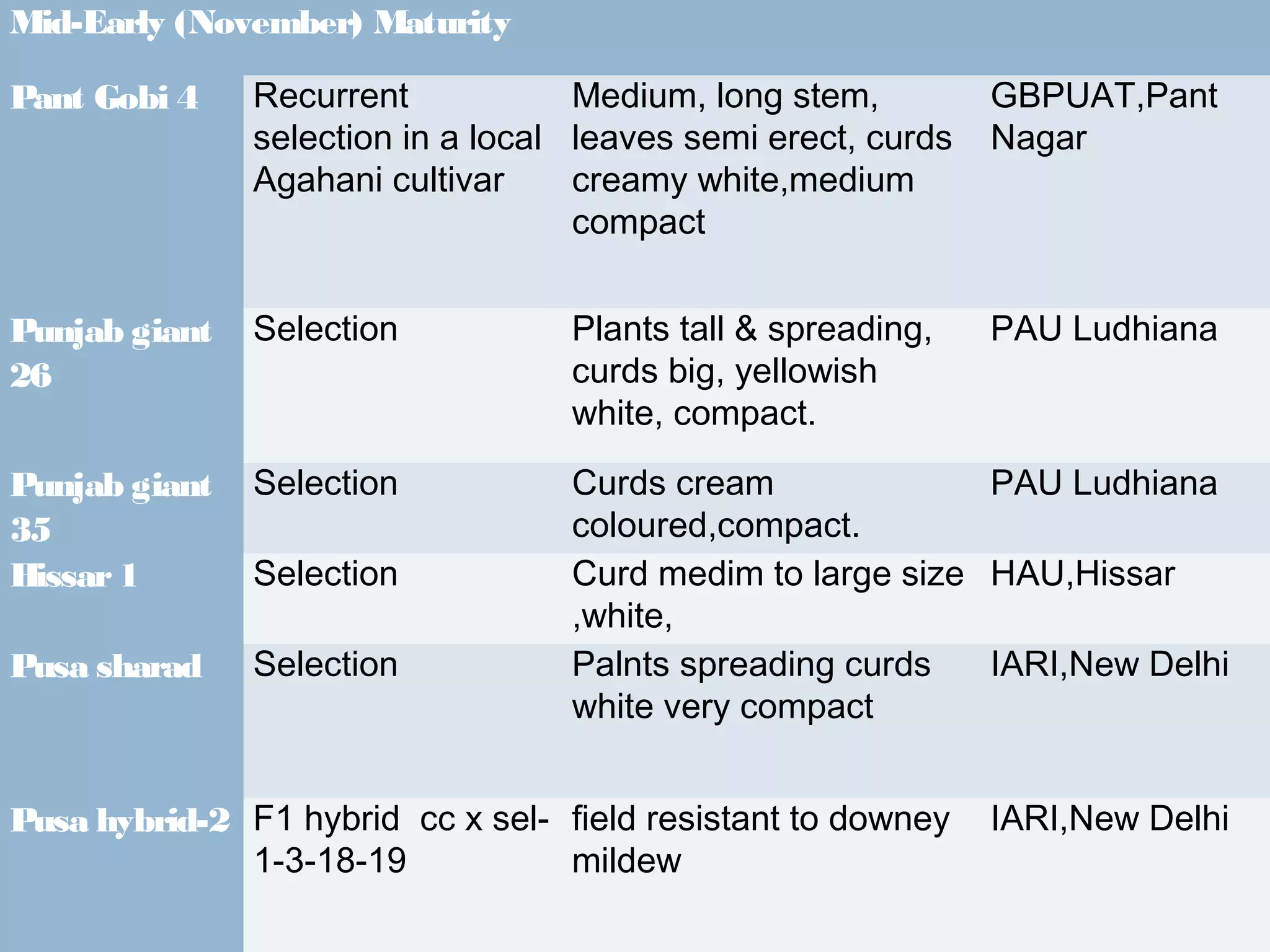 COMMERCIAL VARIETIES AND HYBRIDS IN CABBAGE AND CAULIFLOWER | PPT