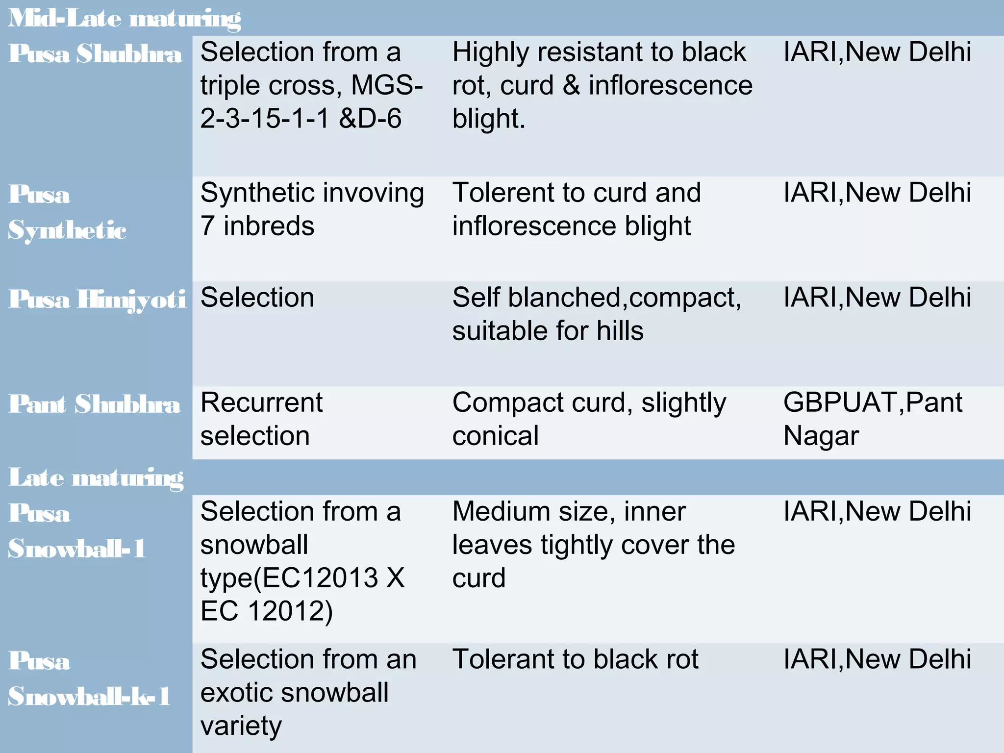 COMMERCIAL VARIETIES AND HYBRIDS IN CABBAGE AND CAULIFLOWER | PPT