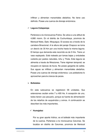 cuenca río tambo | PDF