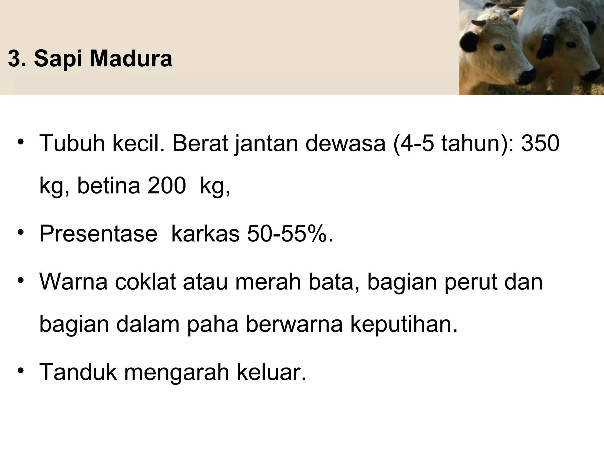 BANGSA SAPI DAN KERBAU | PPT