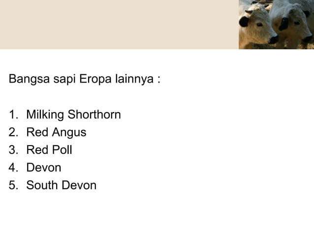 BANGSA SAPI DAN KERBAU | PPT