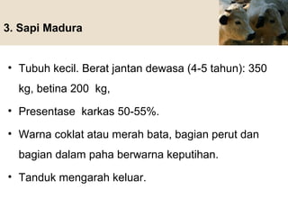 BANGSA SAPI DAN KERBAU | PPT