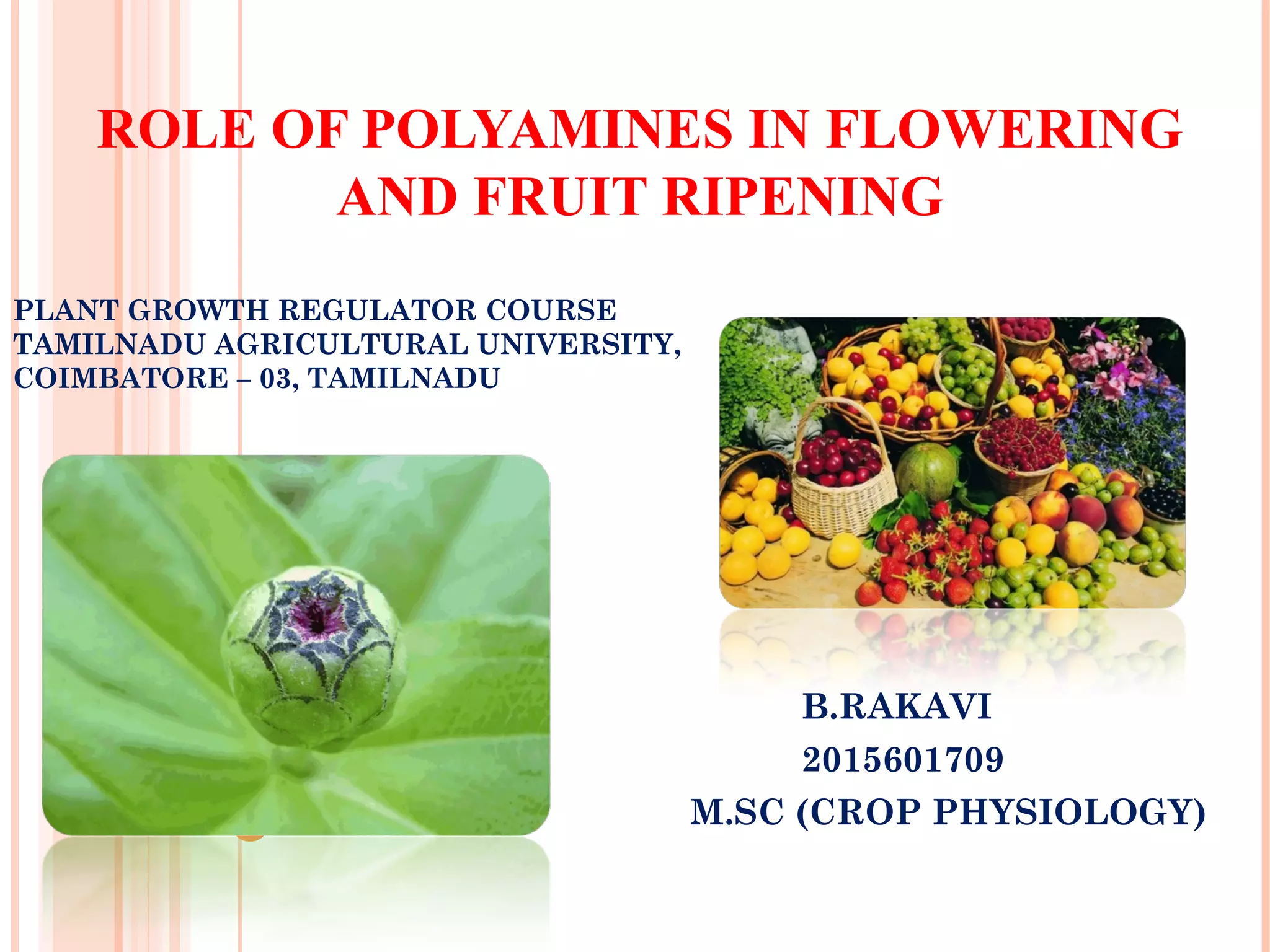 1. Role of polyamines in Flowering and Fruit ripening | PPT