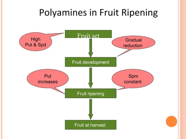 1. Role of polyamines in Flowering and Fruit ripening | PPT
