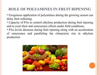 1. Role of polyamines in Flowering and Fruit ripening | PPT