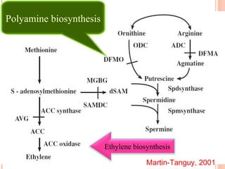 1. Role of polyamines in Flowering and Fruit ripening | PPT