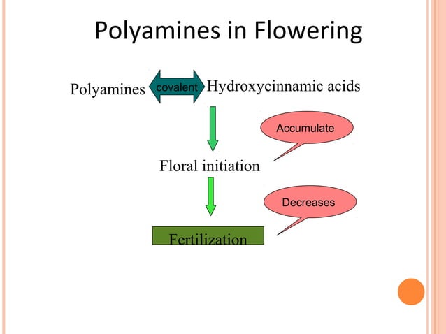 1. Role of polyamines in Flowering and Fruit ripening | PPT