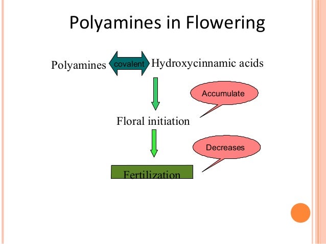 1. Role of polyamines in Flowering and Fruit ripening