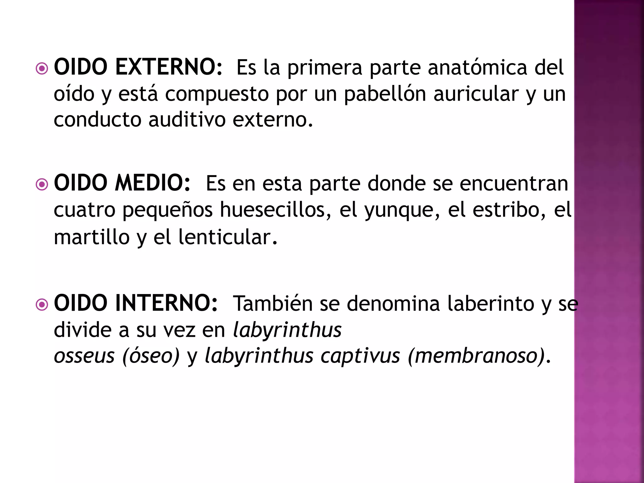 Huesos Del Oido | PPTX