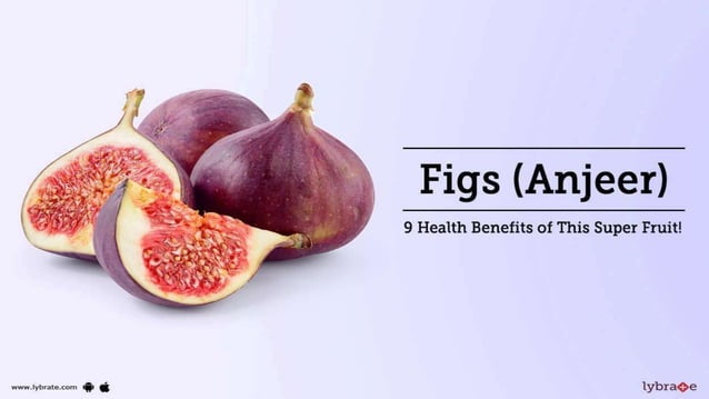 1. fig ppt | PPT