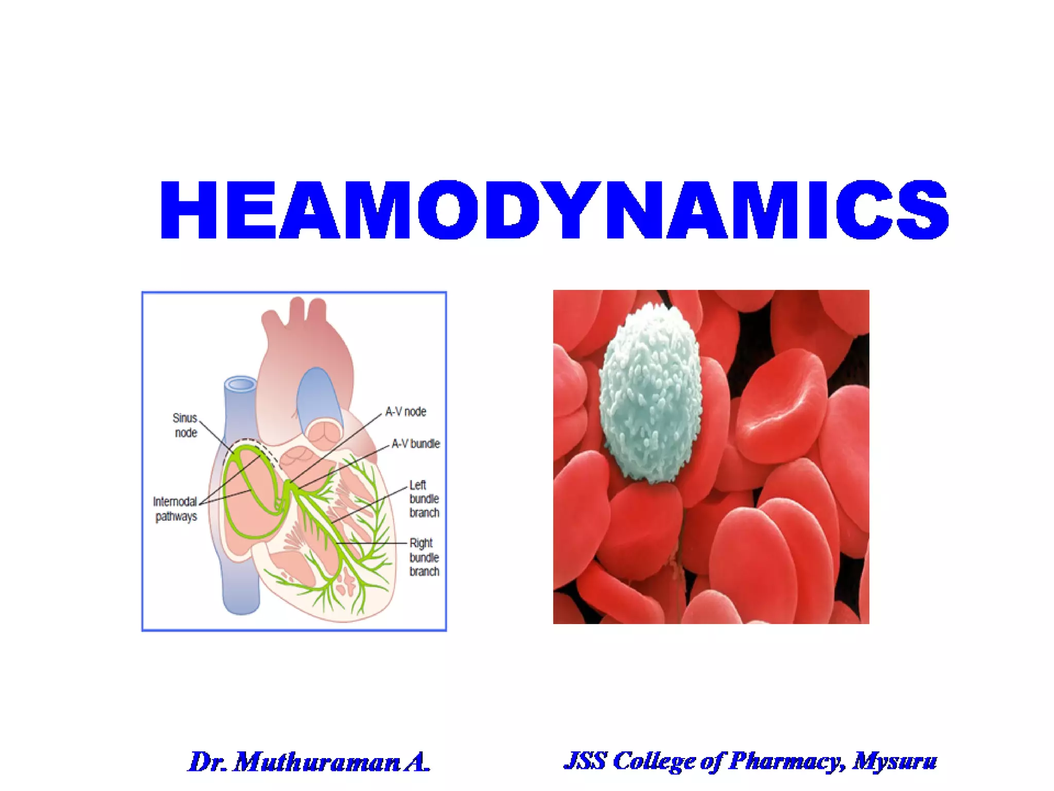 1.1 introduction of haemodynamics and electrophysiology of heart | PDF