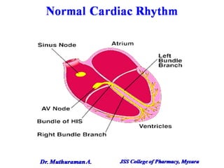 1.1 introduction of haemodynamics and electrophysiology of heart | PDF