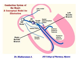 1.1 introduction of haemodynamics and electrophysiology of heart | PDF