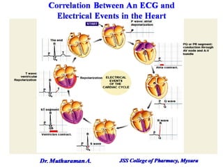 1.1 introduction of haemodynamics and electrophysiology of heart | PDF