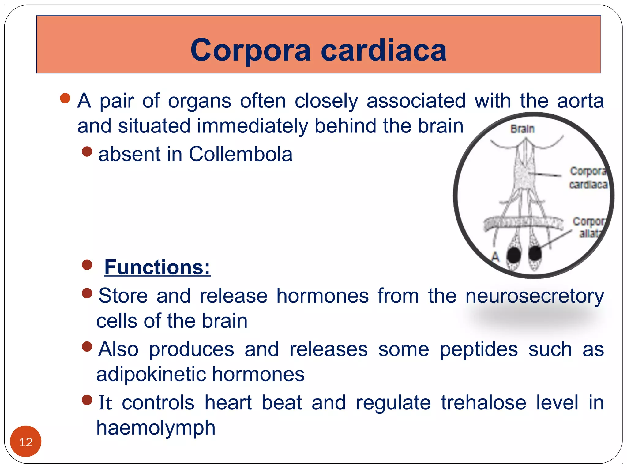 1.Physiology and Biochemistry of Insect Hormones | PPT