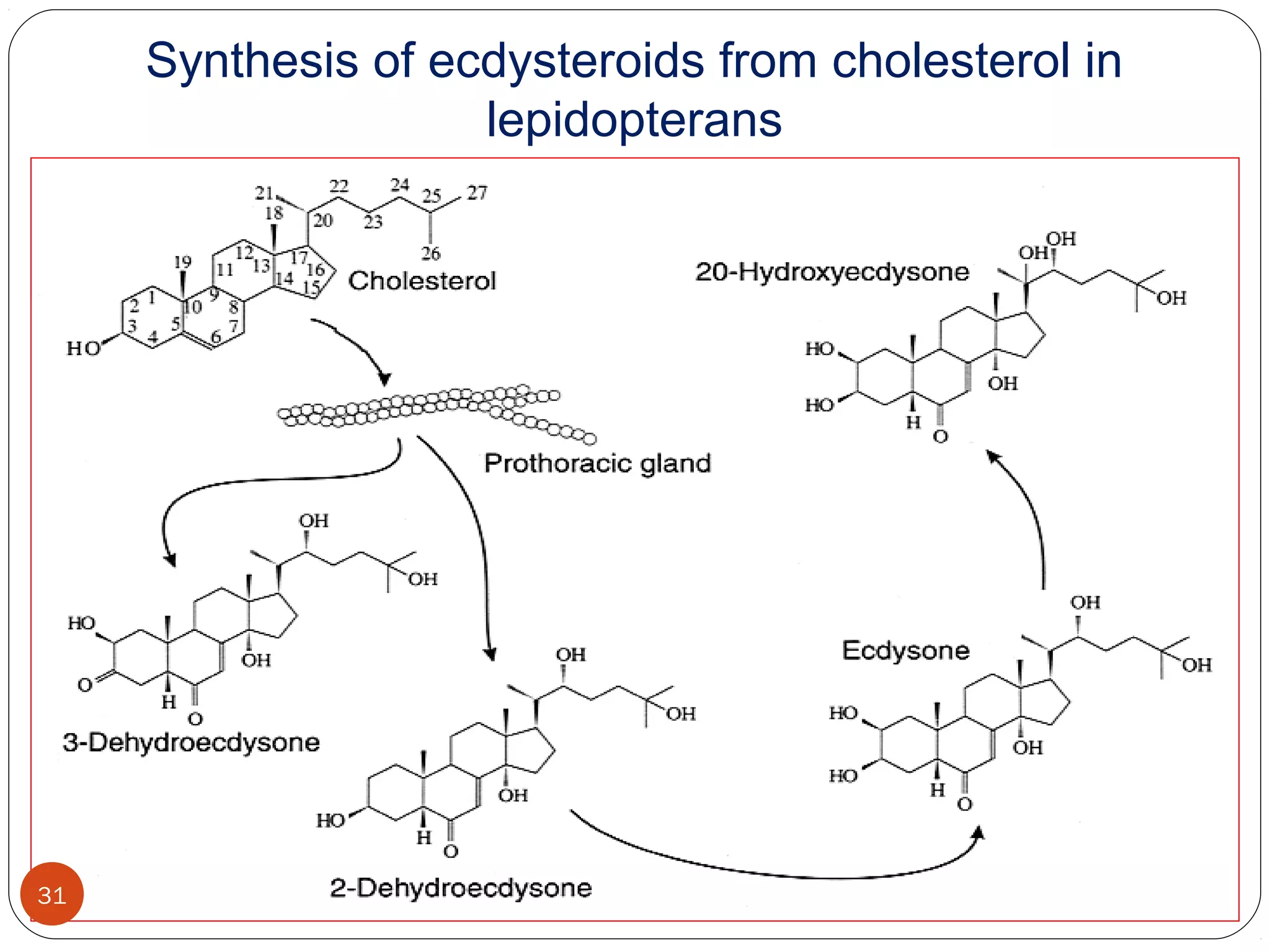1.Physiology and Biochemistry of Insect Hormones | PPT