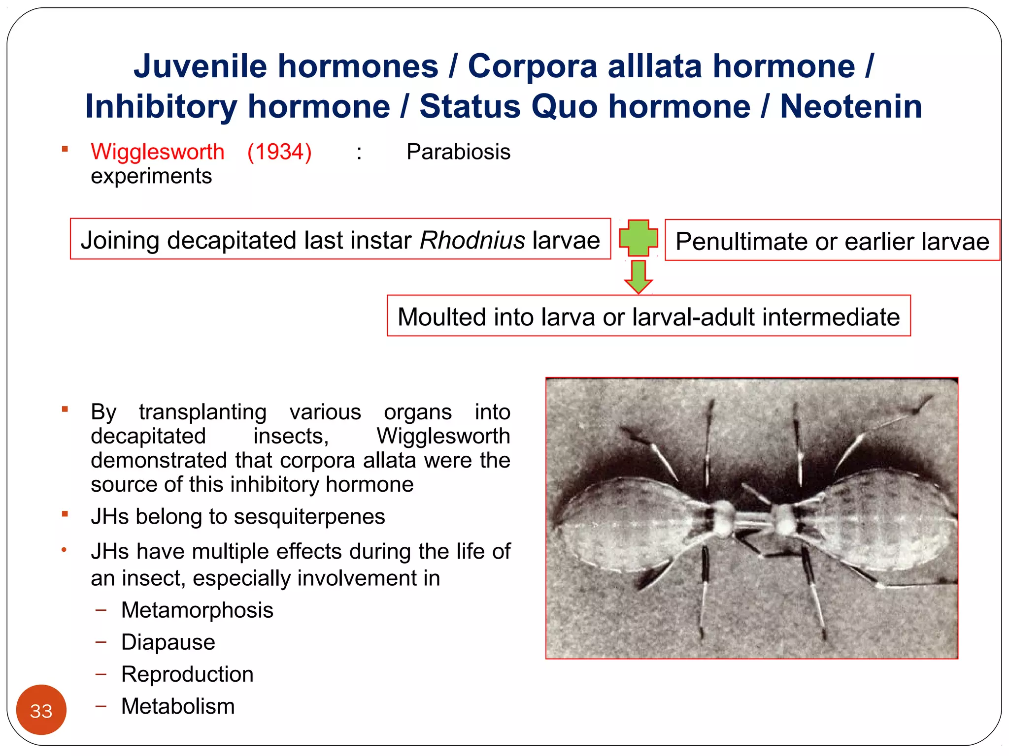 1.Physiology and Biochemistry of Insect Hormones | PPT
