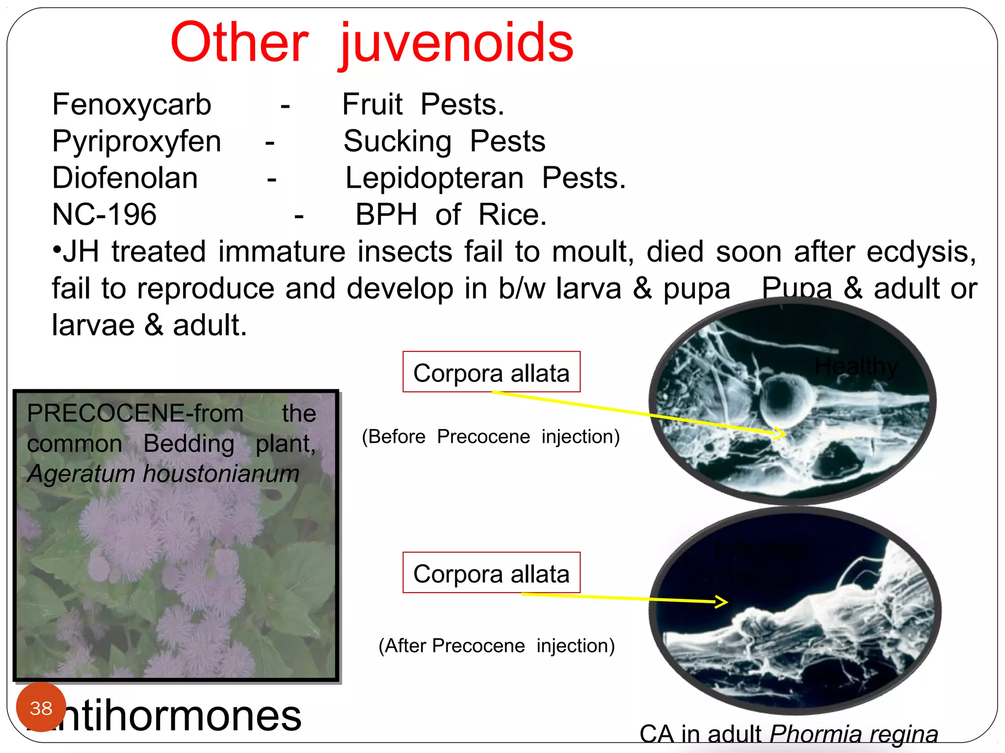 1.Physiology and Biochemistry of Insect Hormones | PPT