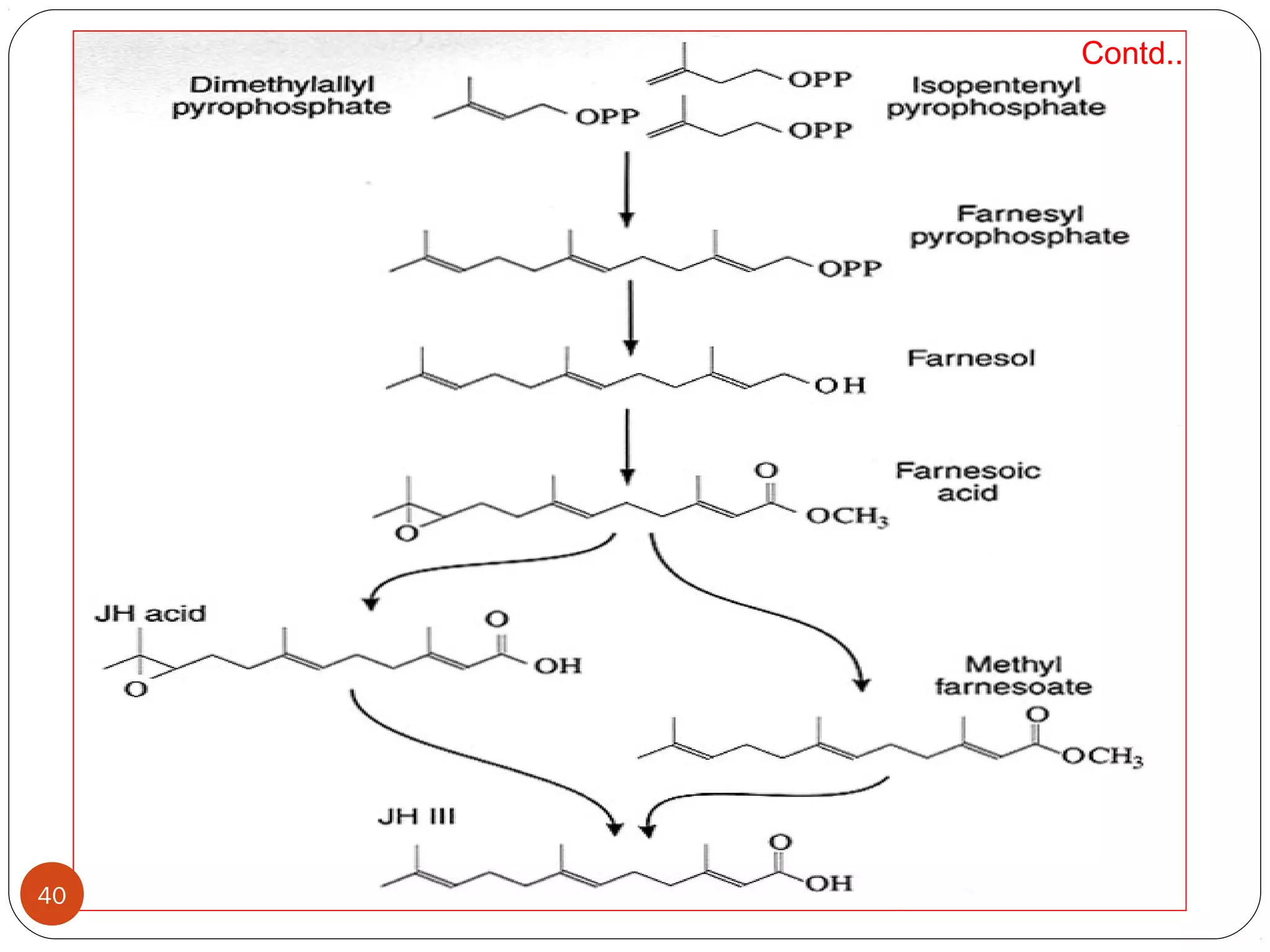1.Physiology and Biochemistry of Insect Hormones | PPT