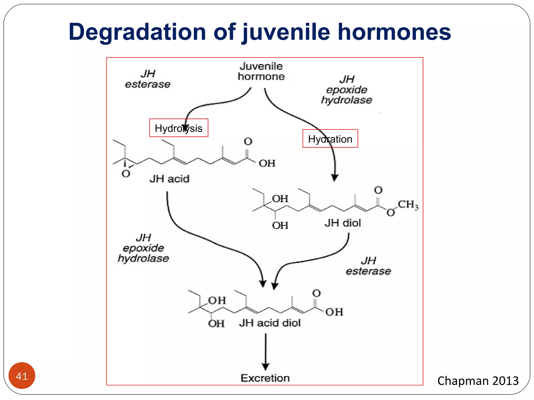 1.Physiology and Biochemistry of Insect Hormones | PPT
