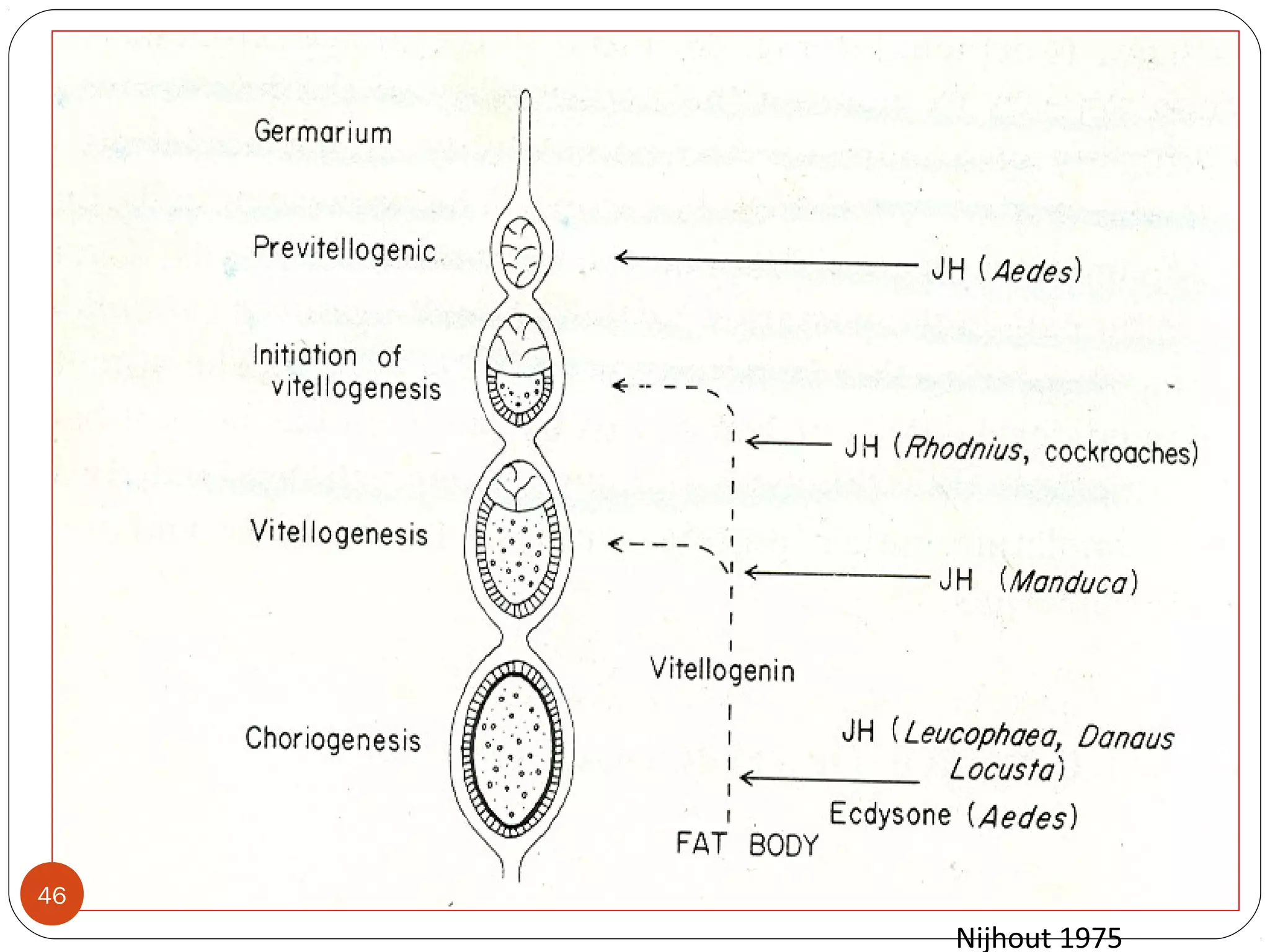 1.Physiology and Biochemistry of Insect Hormones | PPT | Endocrine and ...