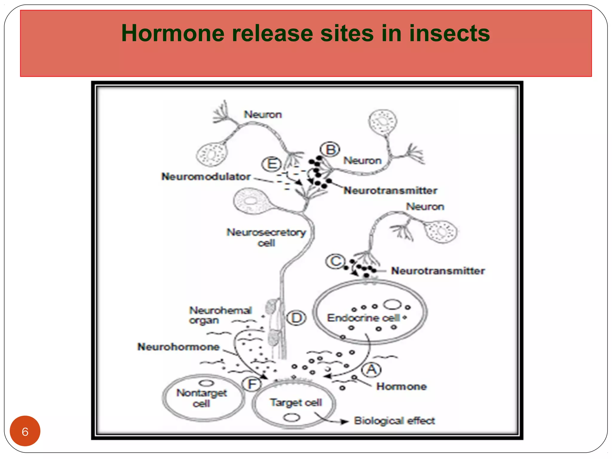 1.Physiology and Biochemistry of Insect Hormones | PPT