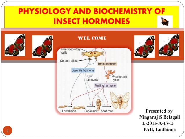 1.Physiology and Biochemistry of Insect Hormones | PPT | Endocrine and ...