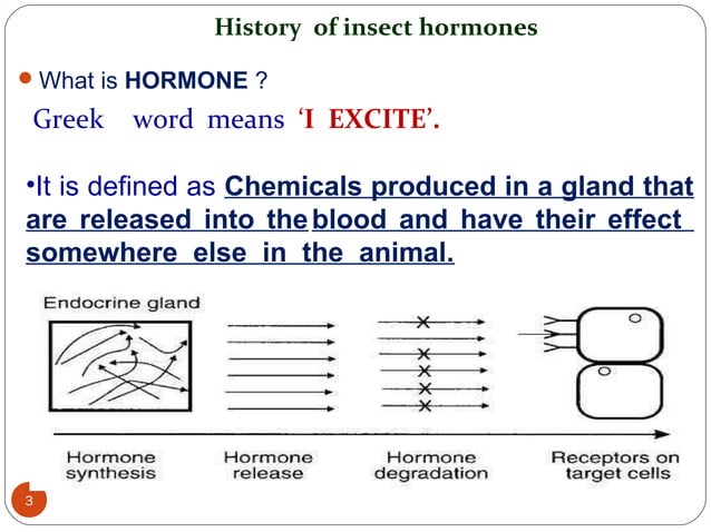 1.Physiology and Biochemistry of Insect Hormones | PPT | Endocrine and ...