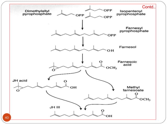 1.Physiology and Biochemistry of Insect Hormones | PPT | Endocrine and ...