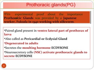 1.Physiology and Biochemistry of Insect Hormones | PPT