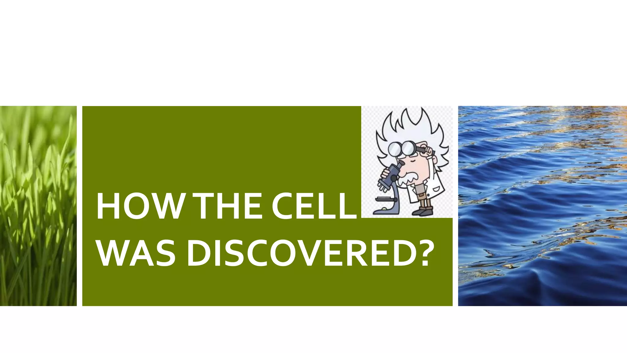 The Discovery of Cell and The Cell Theory - Grade 12 | PPTX