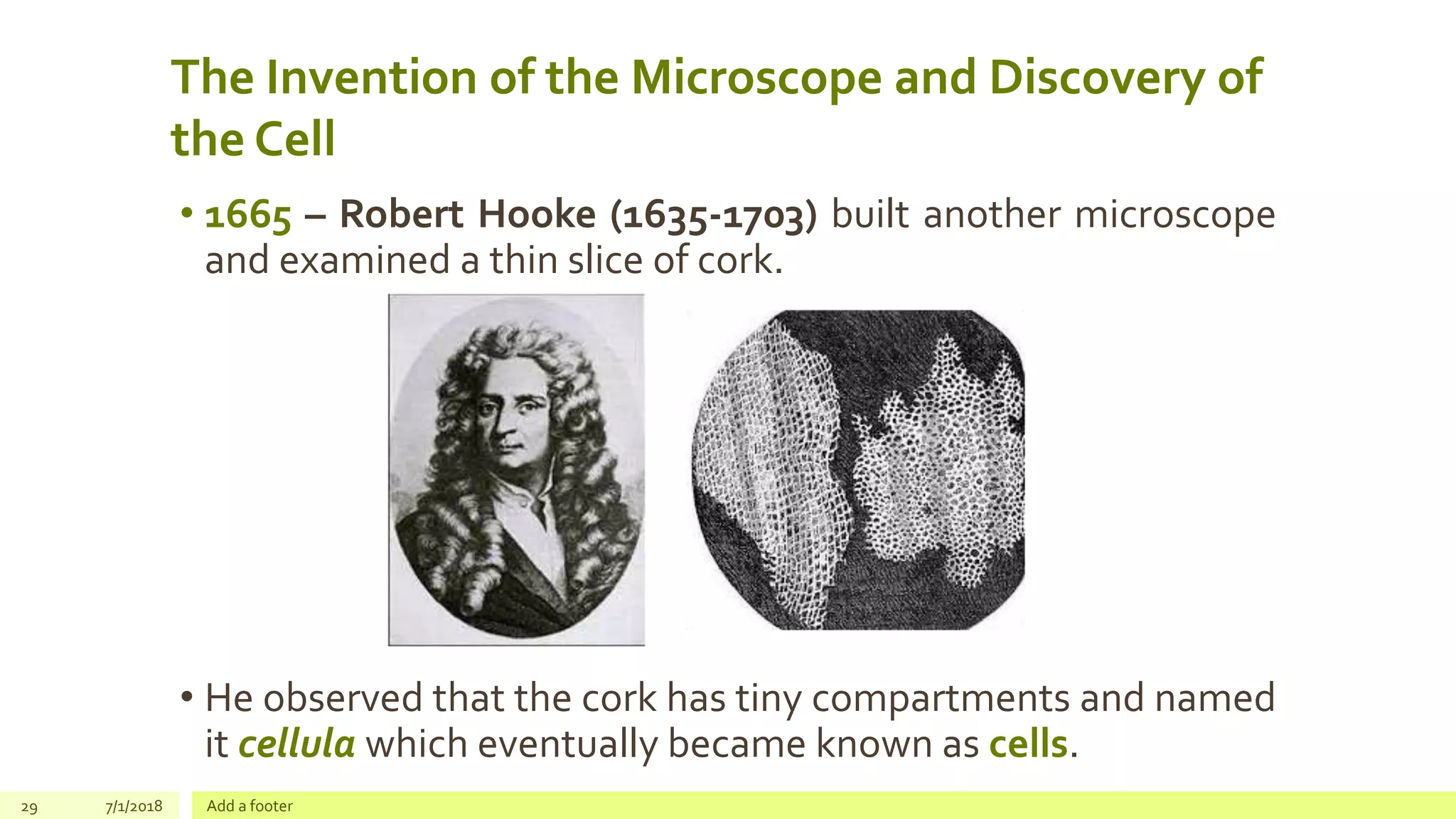 The Discovery of Cell and The Cell Theory - Grade 12 | PPTX ...