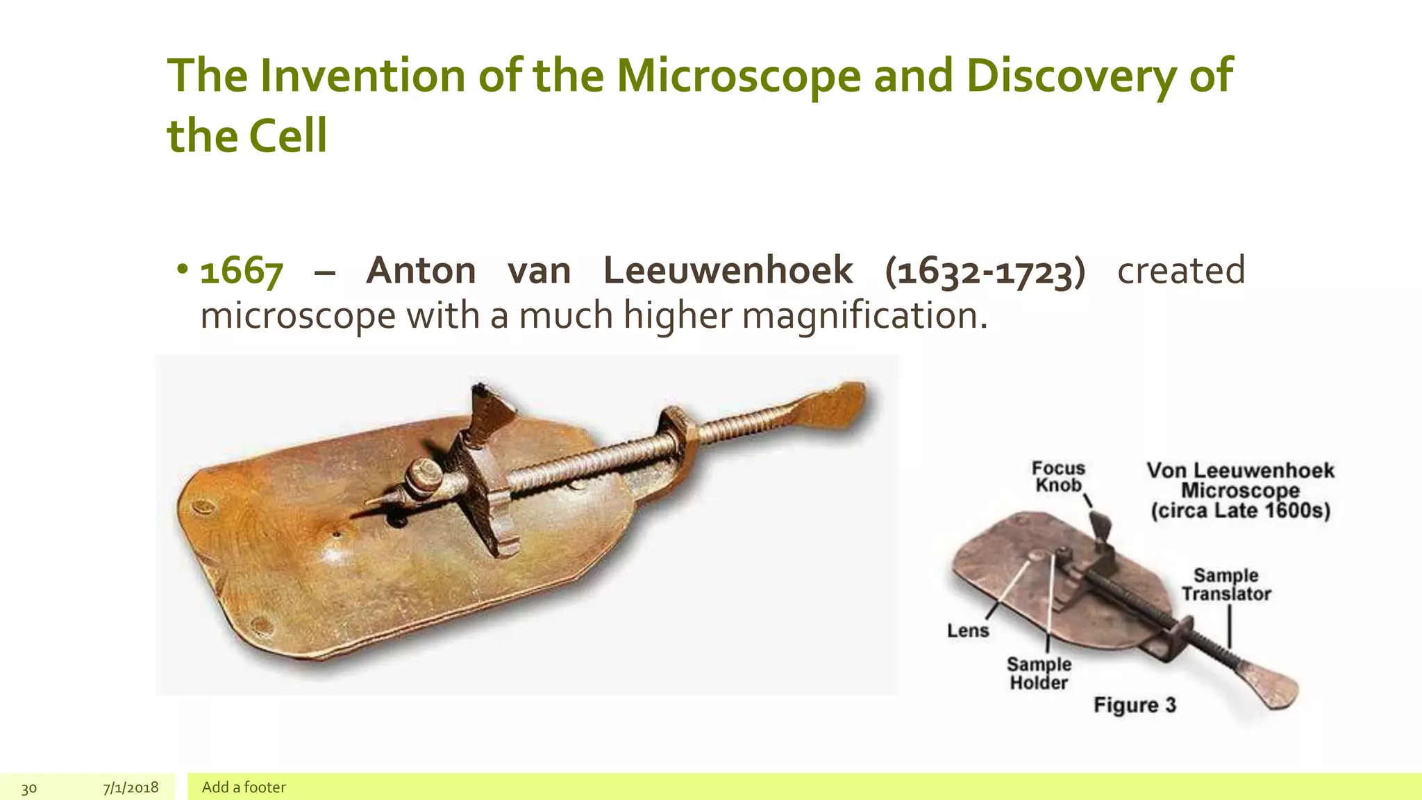 The Discovery of Cell and The Cell Theory - Grade 12 | PPTX