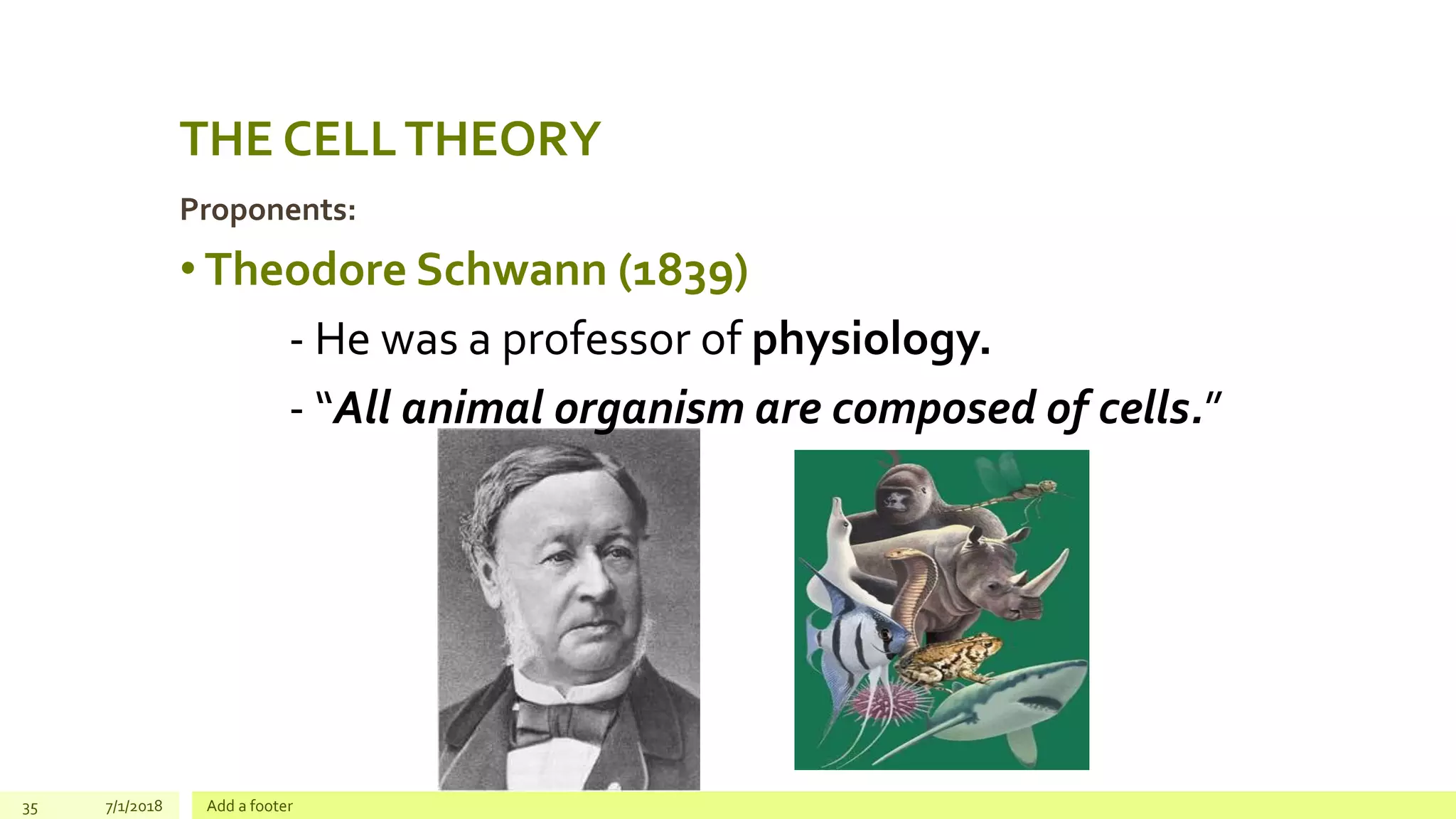 The Discovery of Cell and The Cell Theory - Grade 12 | PPTX