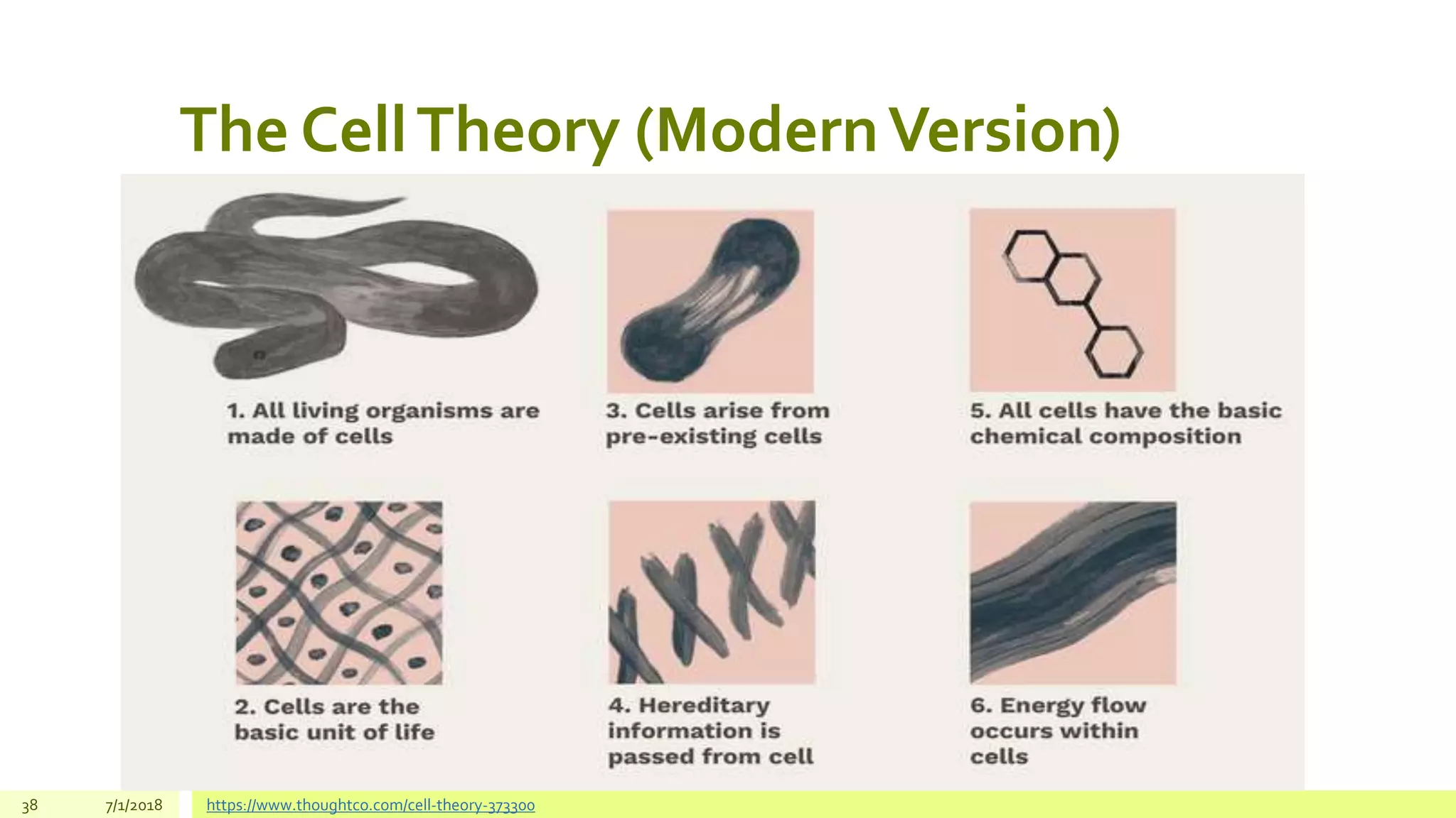 The Discovery of Cell and The Cell Theory - Grade 12 | PPTX ...